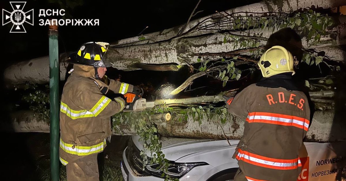 130 населених пунктів без світла: наслідки буревію — LVIV.MEDIA