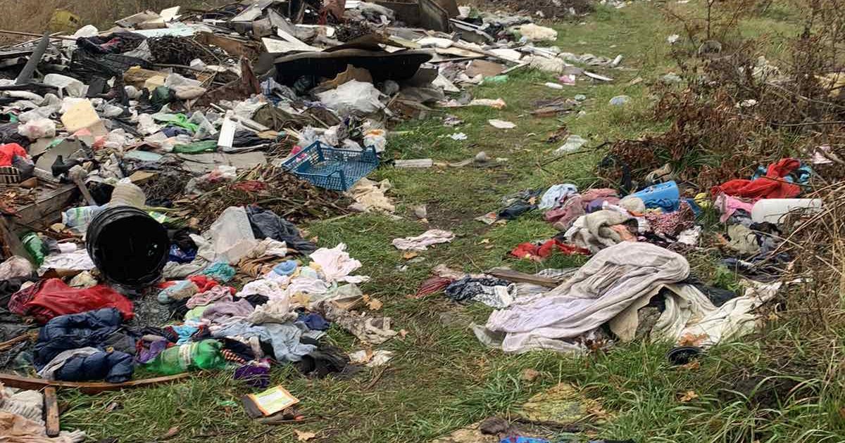 У Шептицькій громаді виявили стихійне сміттєзвалище площею 600 м² — LVIV.MEDIA