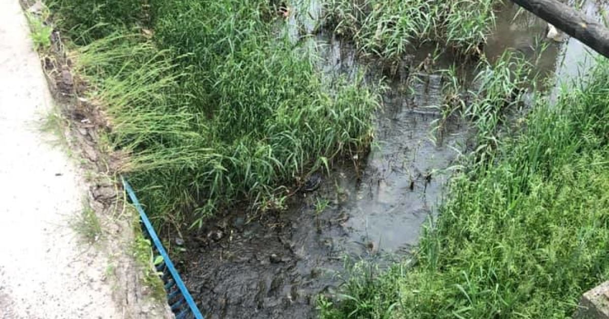 На Львівщині 11-річна дитина впала з 6-метрового мосту — LVIV.MEDIA