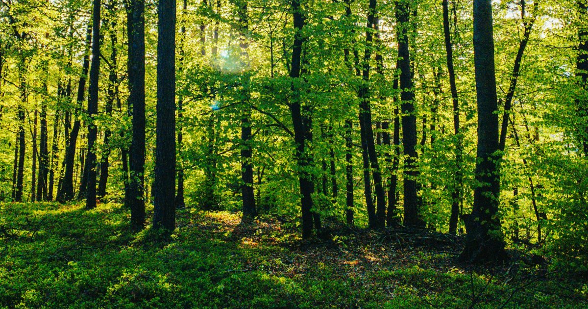 Куди піти на Львівщині 27 та 28 травня: афіша подій — LVIV.MEDIA