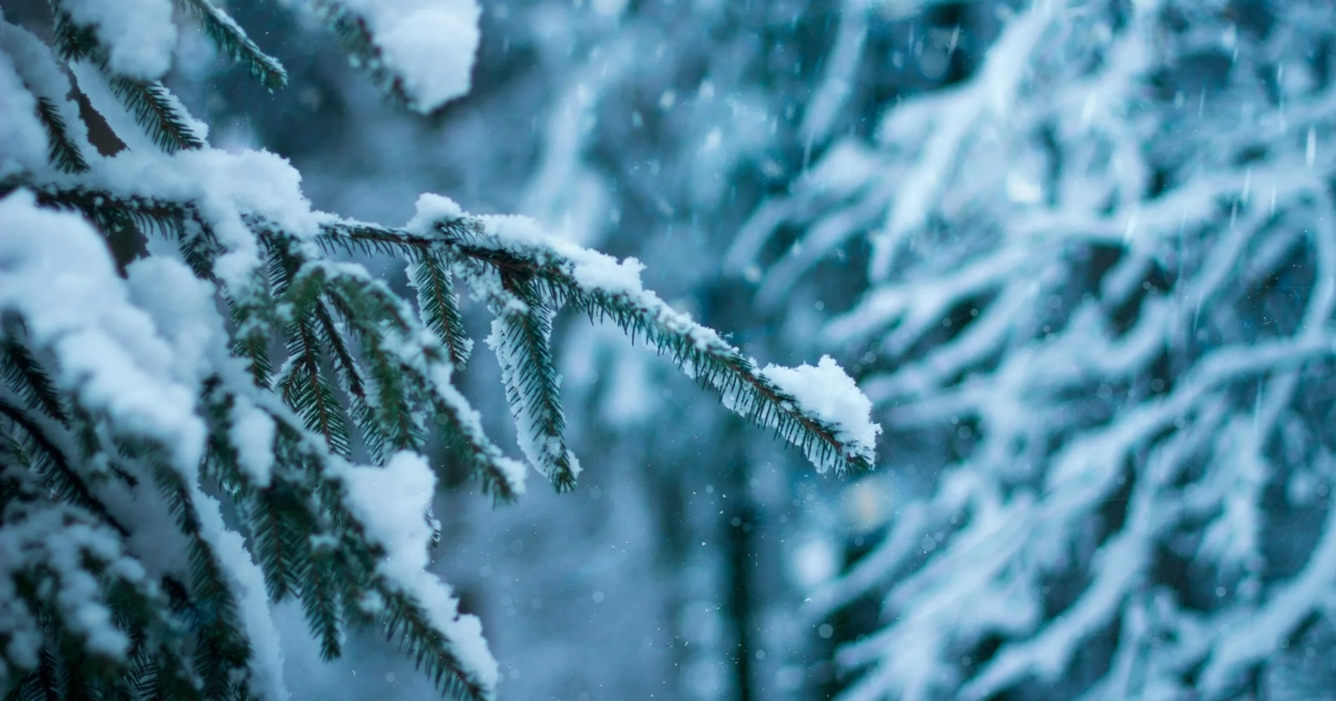 Прогноз погоди у Львові 27 листопада — LVIV.MEDIA