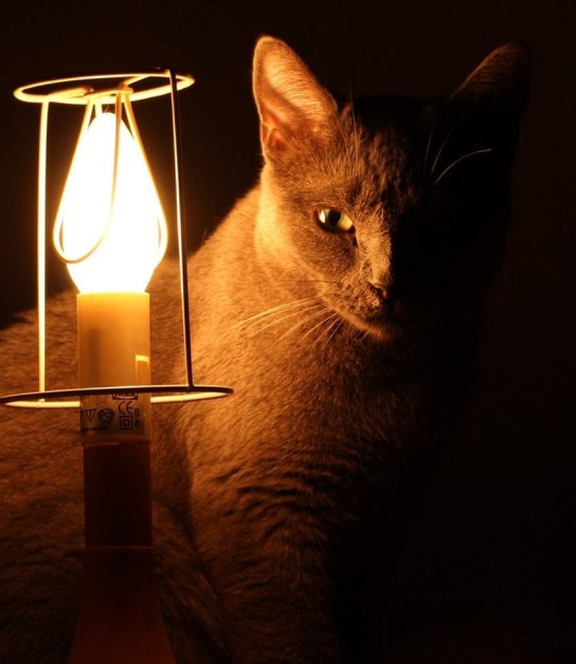 Графік відключень світла 28 листопада на Львівщині — LVIV.MEDIA