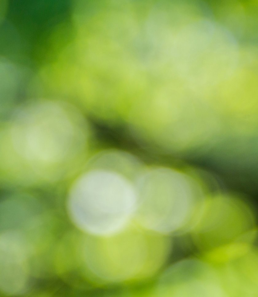 Виставка «Образ. Символ. Духовність» — LVIV.MEDIA